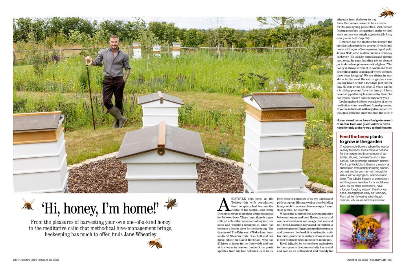 Magazines Direct | Country Life 24/12/2025 Single Issue