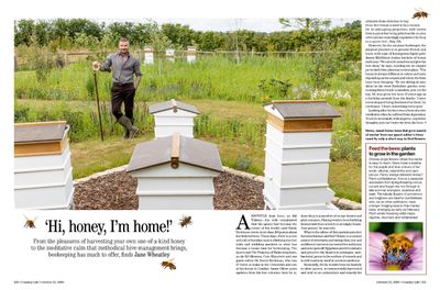 Magazines Direct | Country Life 14/01/2026 Single Issue