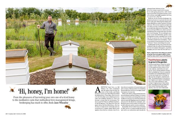 Country Life | Country Life Magazine Subscription