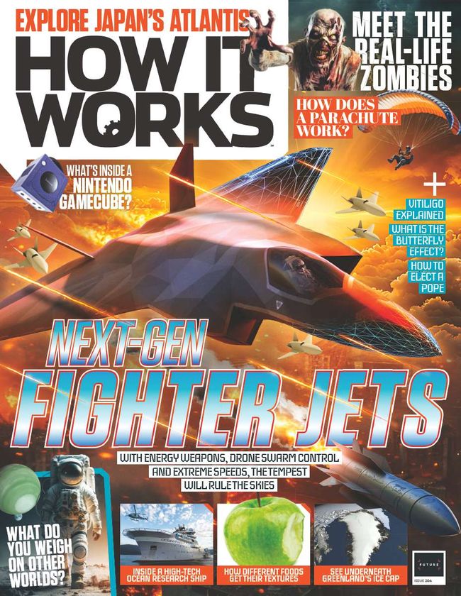 Why do octopuses produce ink? – How It Works