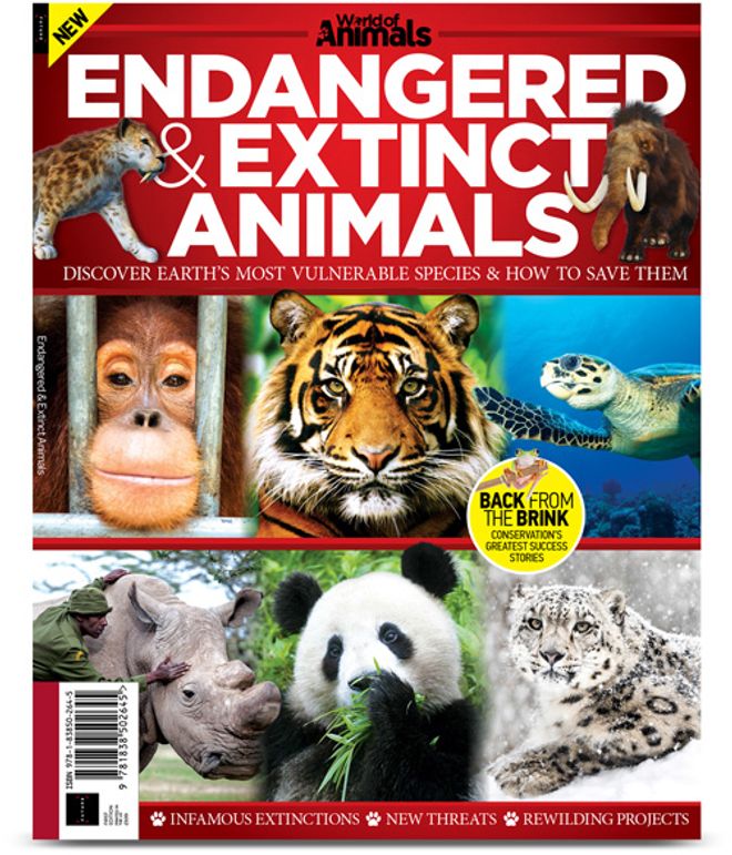 Magazines Direct | Endangered & Extinct Animals