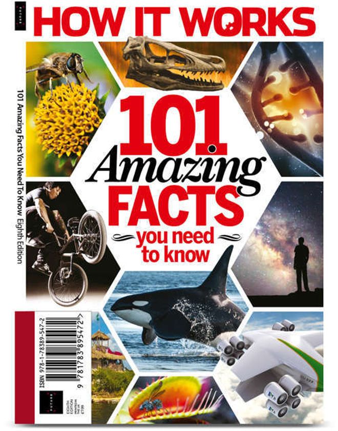 Magazines Direct | Book of 101 Amazing Facts You Need to Know (8th Edition)