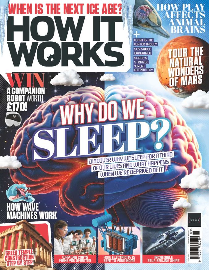 Why do octopuses produce ink? – How It Works