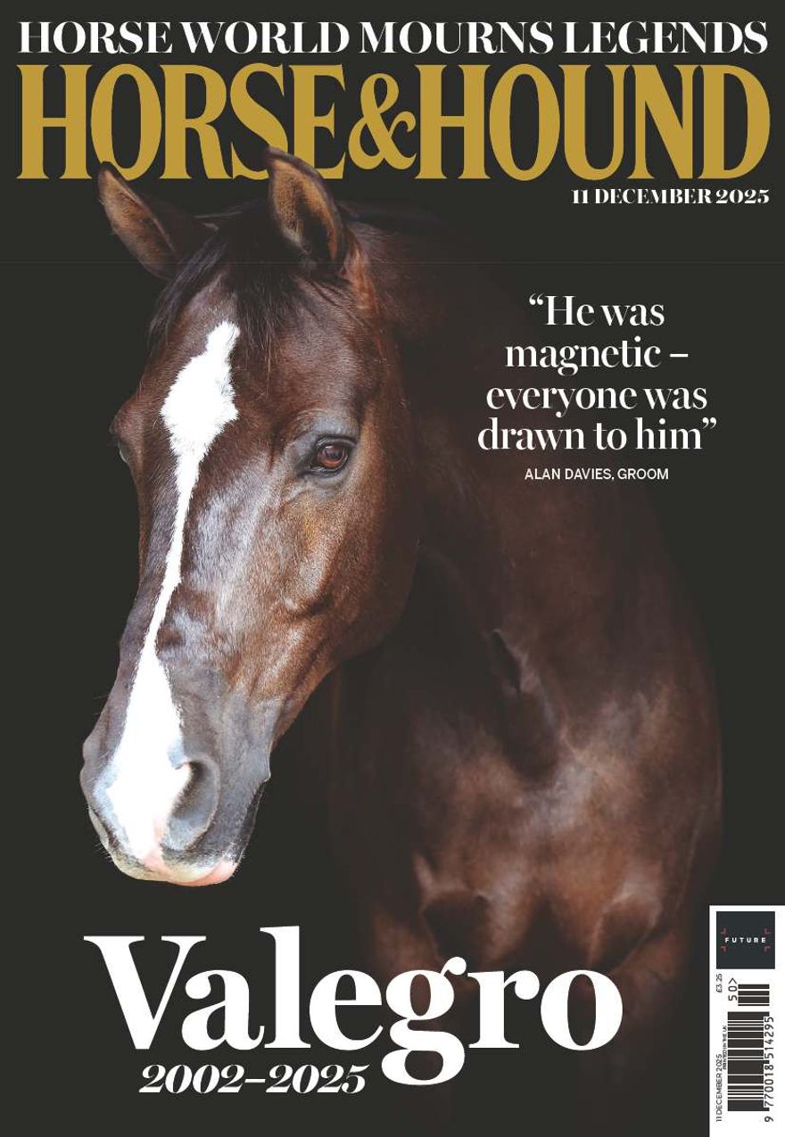 Magazines Direct | Horse & Hound Magazine Subscription