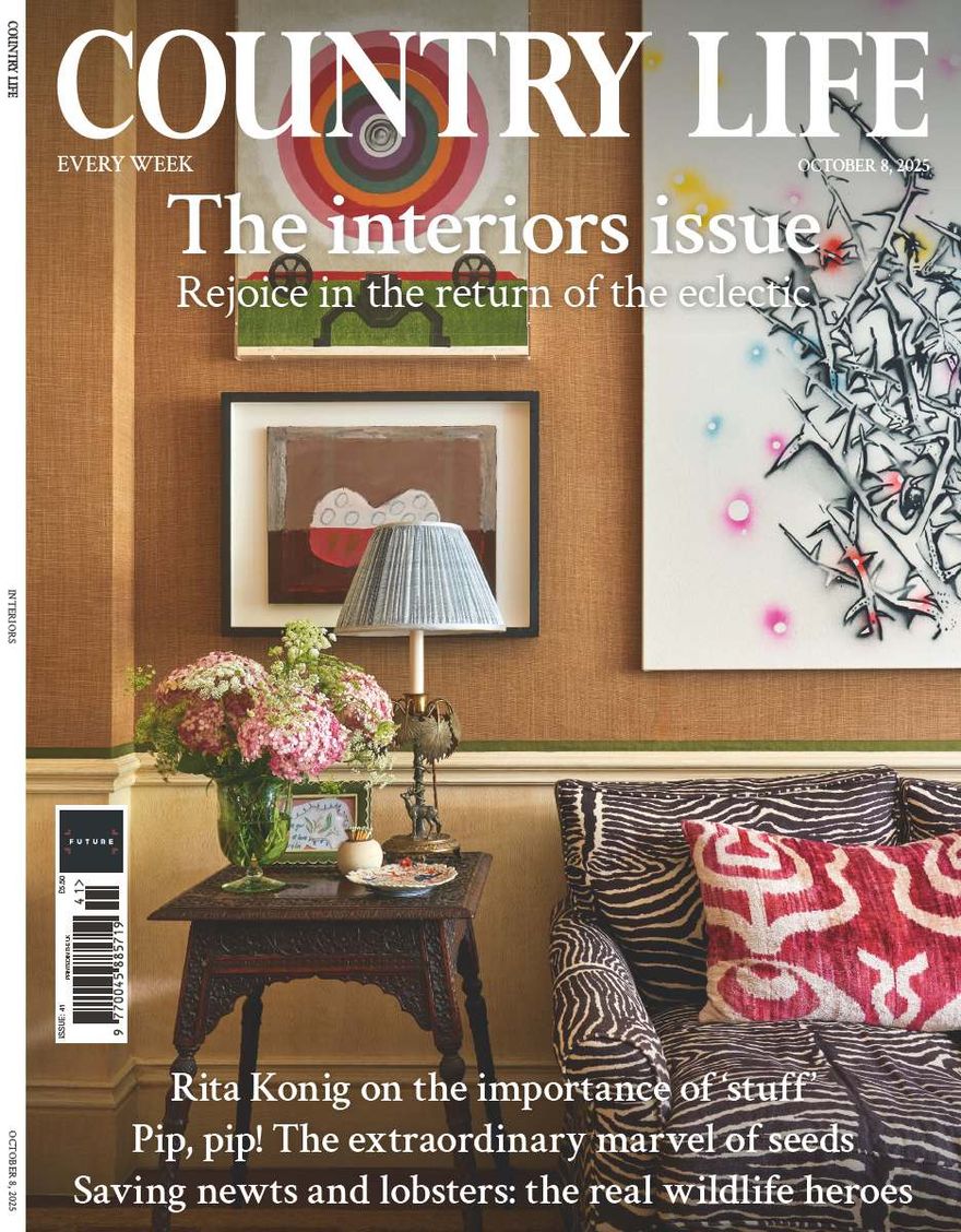 Magazines Direct | Country Life Magazine Subscription